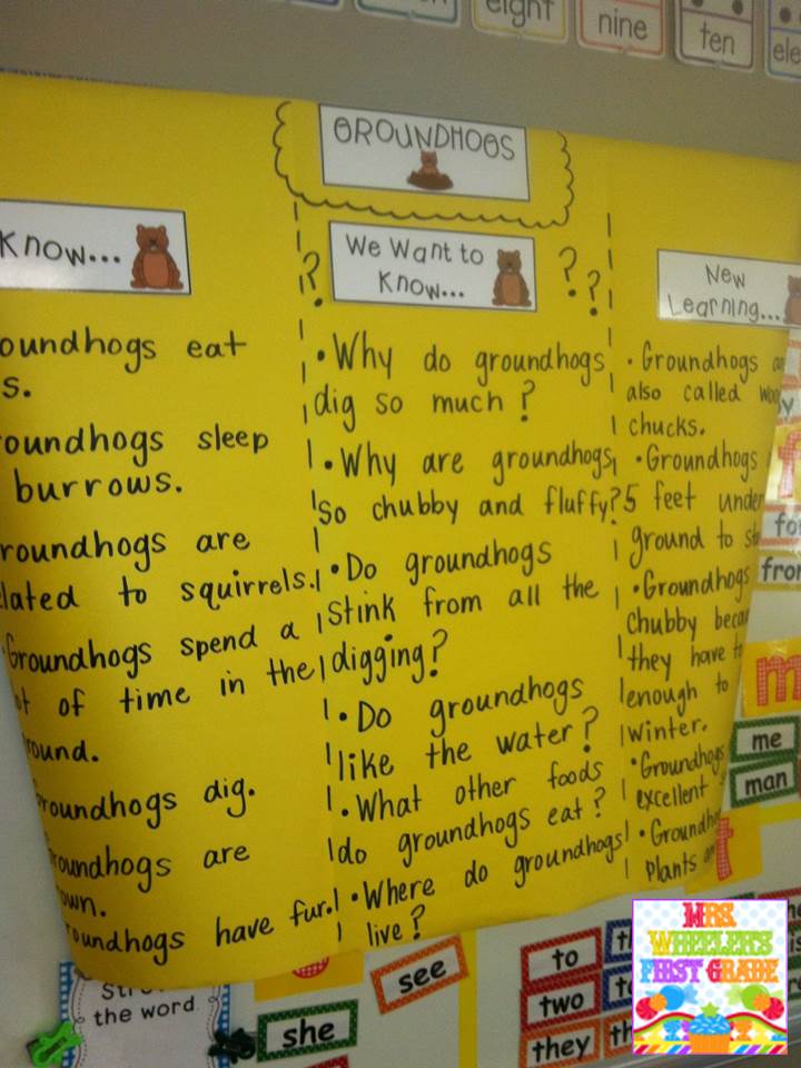 Mrs. Wheeler's First Grade Tidbits: Favorite Books for Groundhog Day ...
