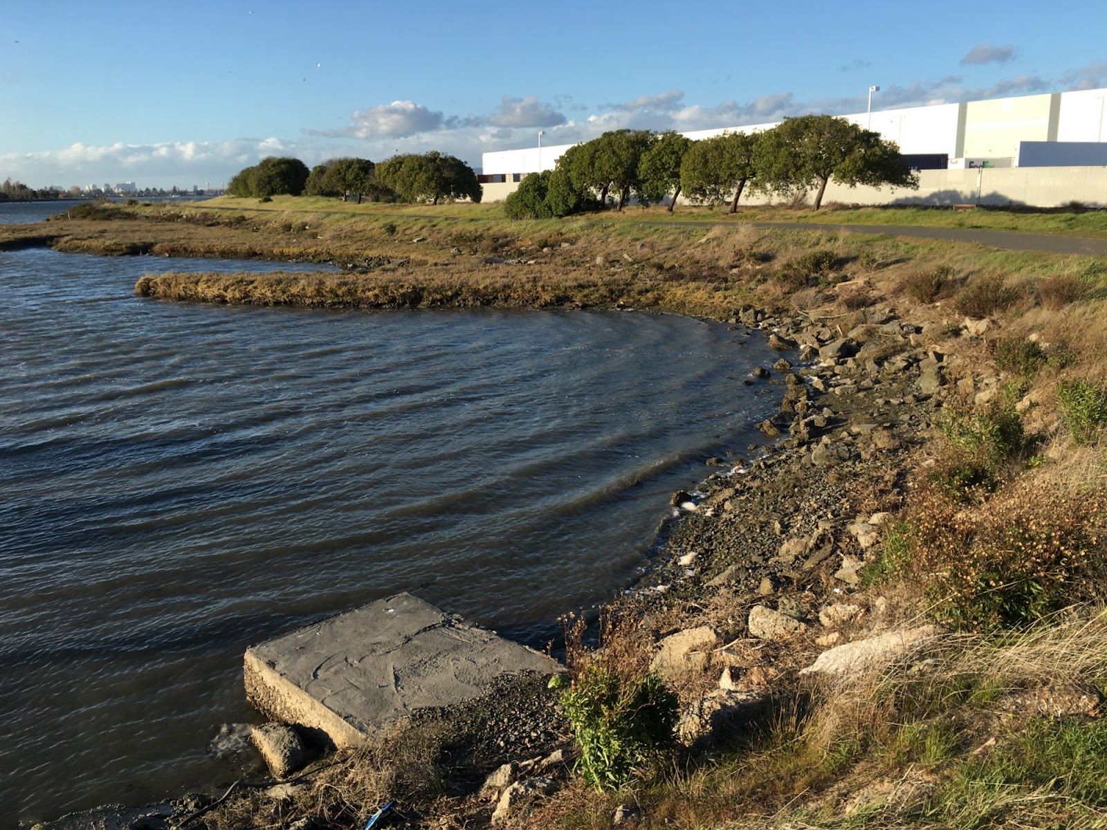 Gravel Beach: San Leandro Bay