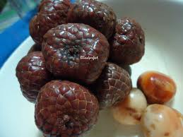 Ayo Jajan !: Buah (rumbia) jatuhnya di cobek Rujak Aceh