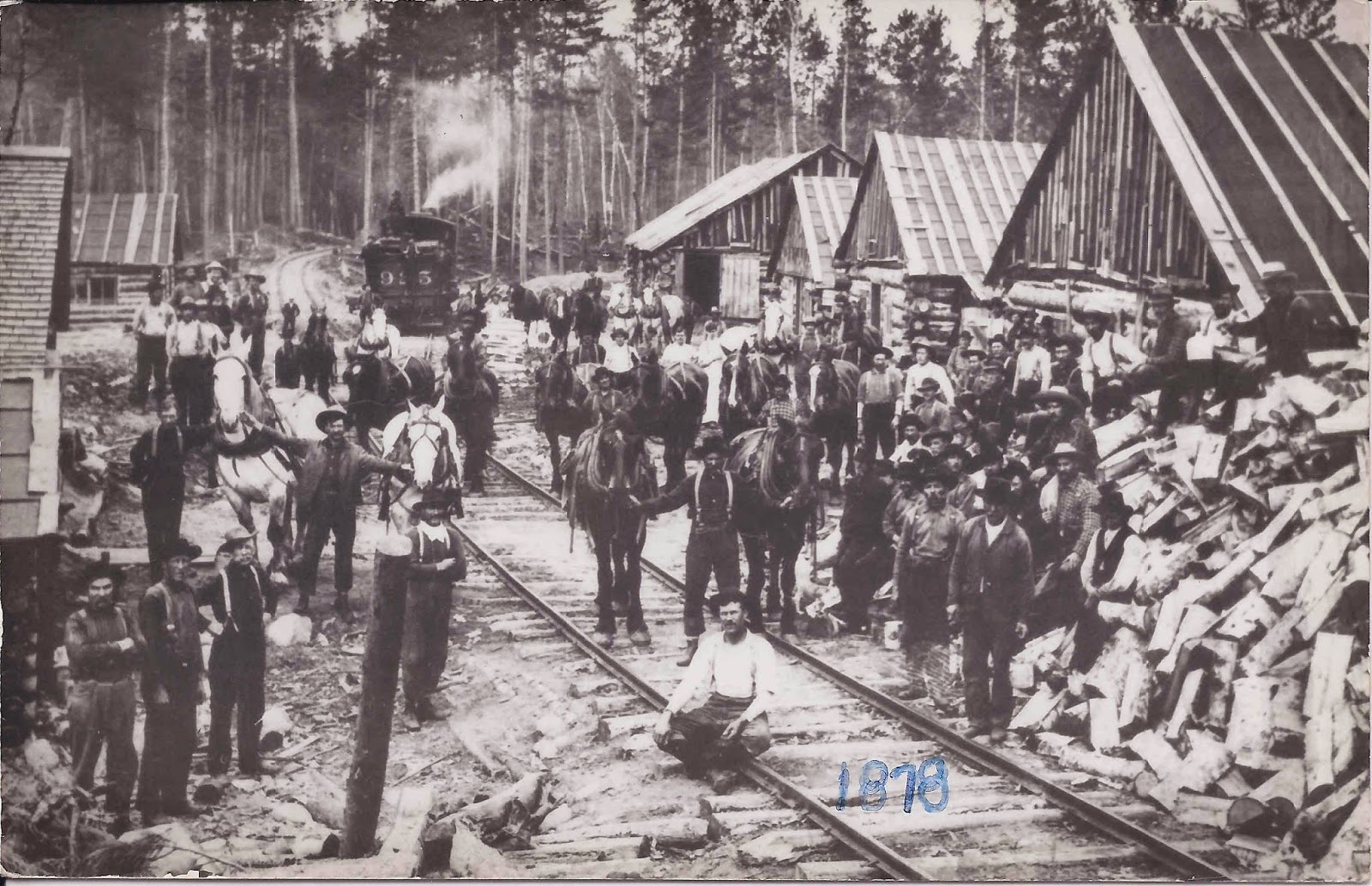 Isabella Conservation District Environmental Education Program ...