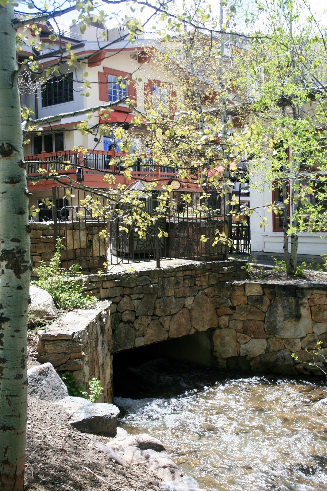 Amy's Creative Pursuits: The Beautiful Spring Blooms of Vail, Colorado