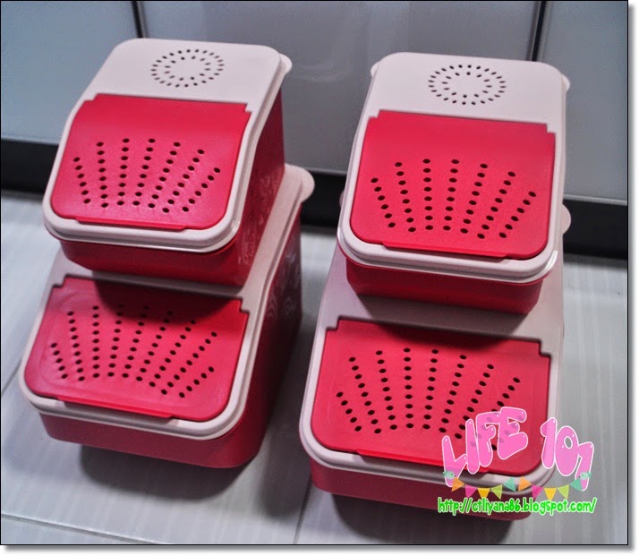 DAPUR: Bekas Simpan Bawang AVON | Life 101