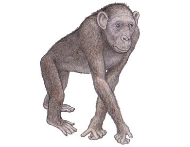 Outras Verdades Inconvenientes