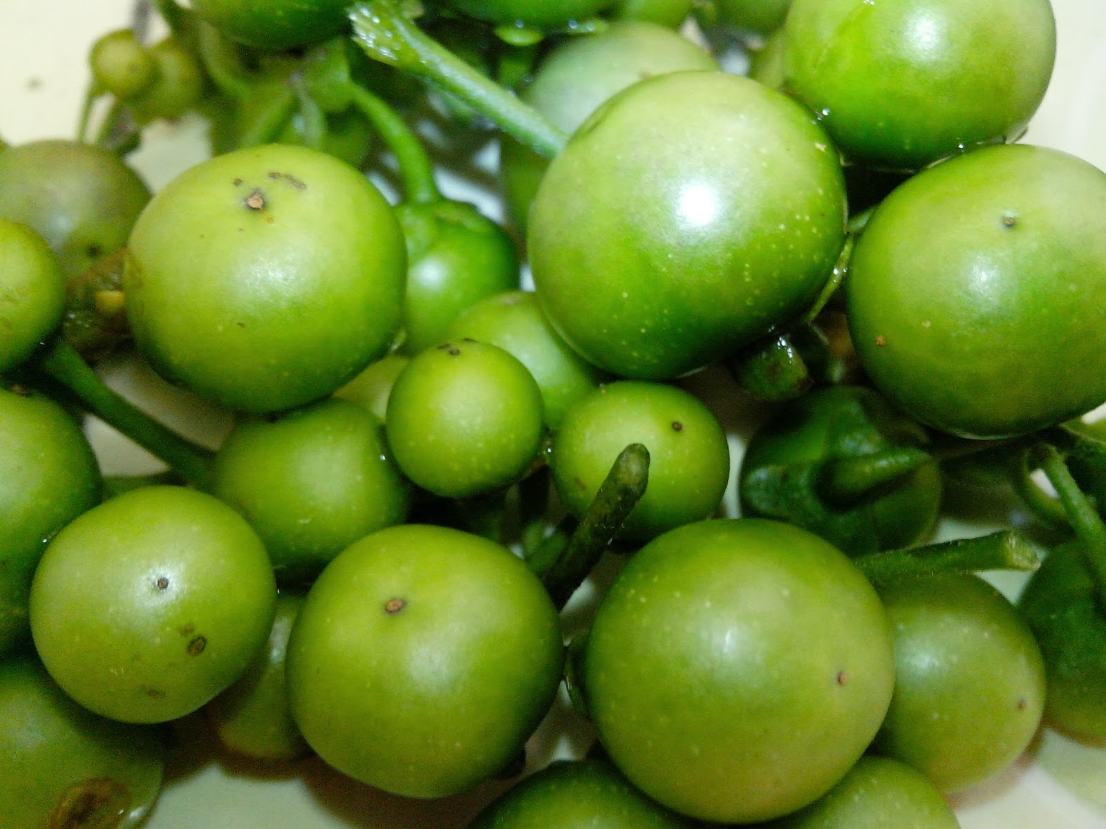 Endah Murniyati's Journey: LEUNCA