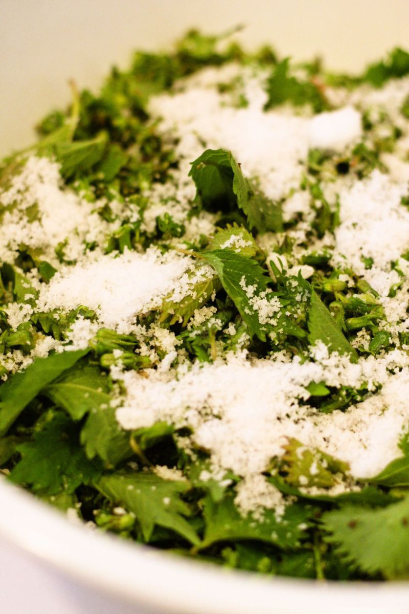 Perfectly imperfect : Salted Shiso Seeds