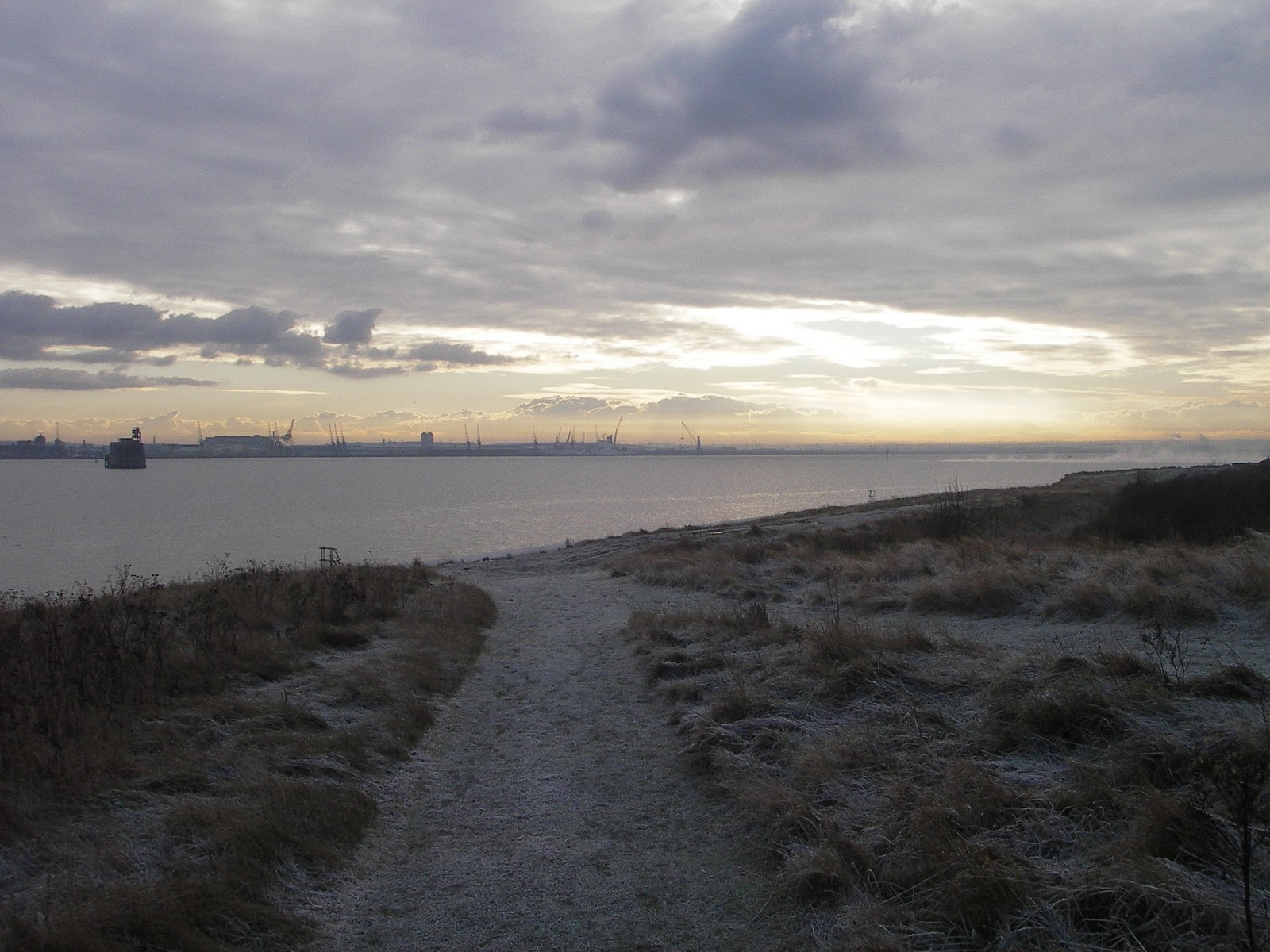 Notes from Kent's Hoo Peninsula: Grain Coastal Park (Isle of Grain ...