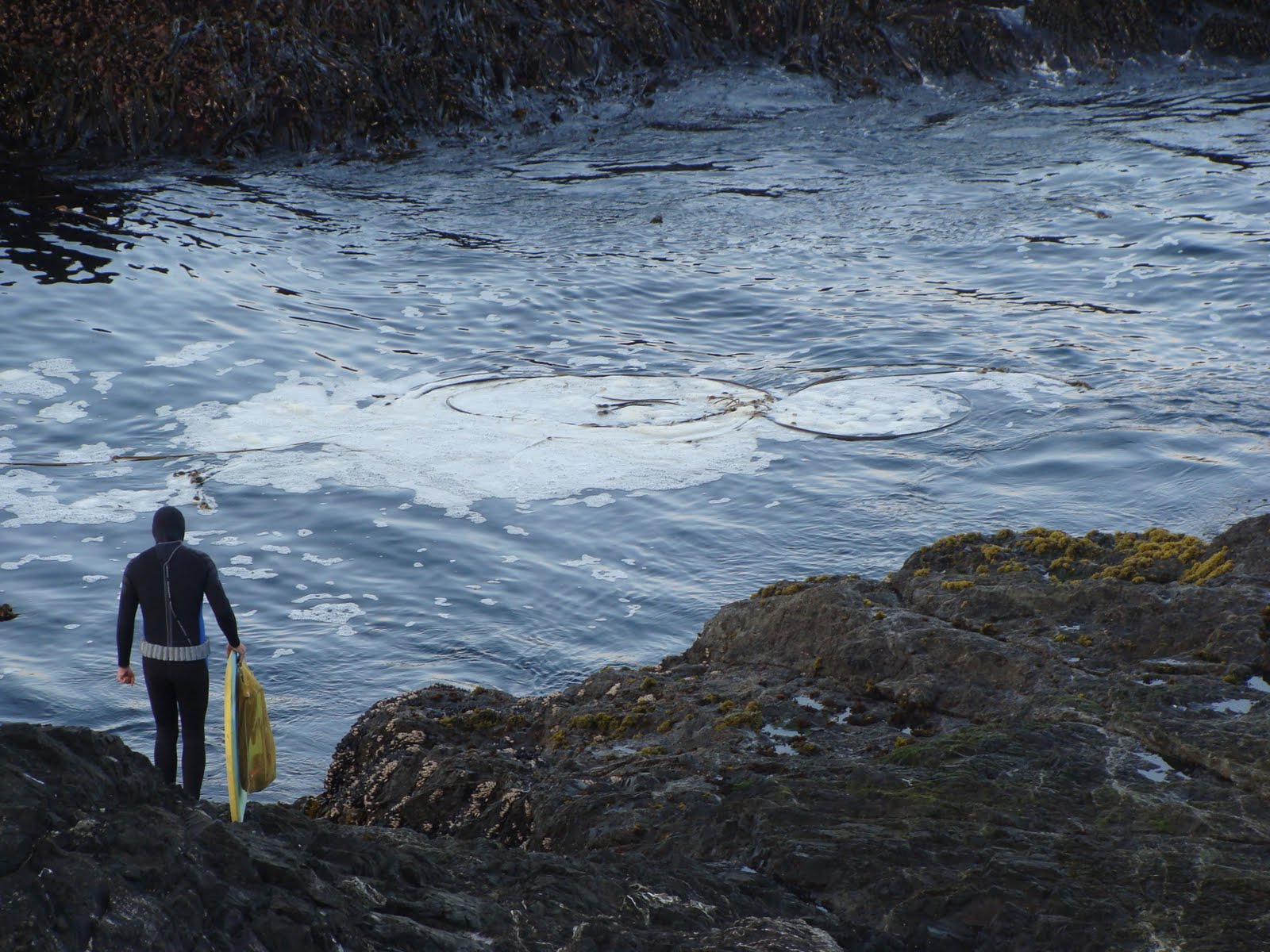 Cindy Anderson Deetz