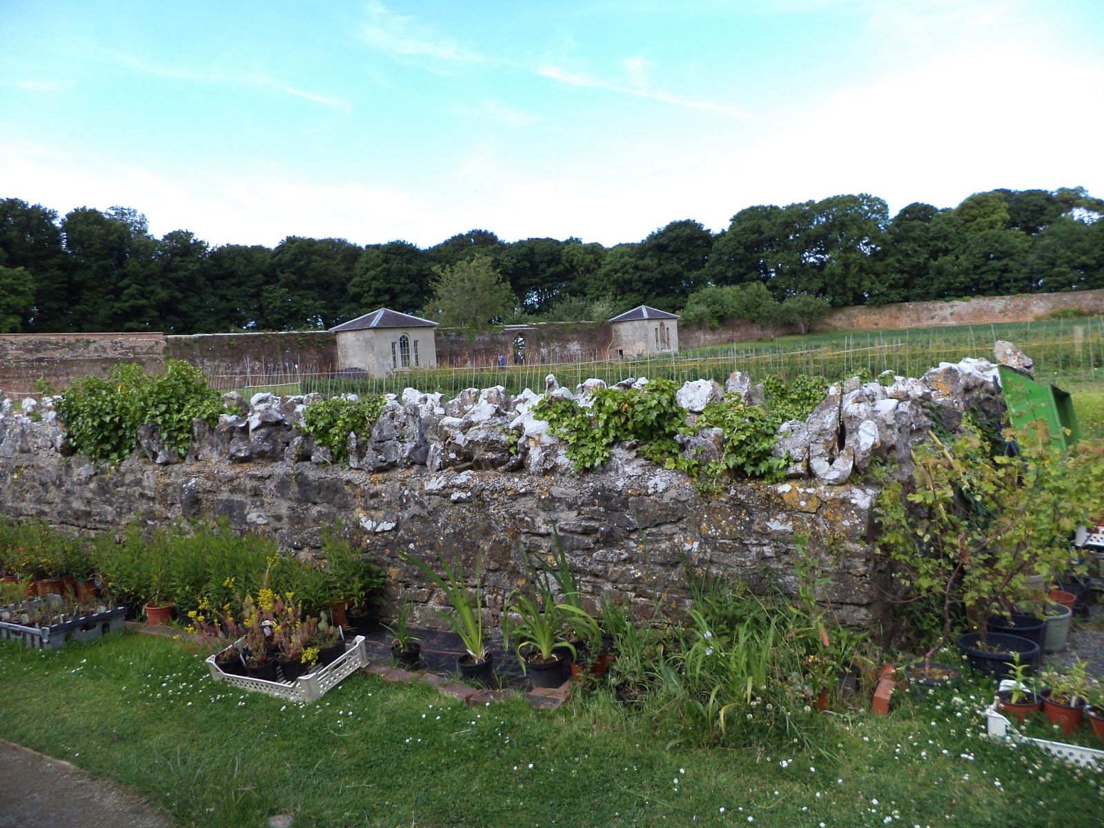 Campaign For The Protection of Pembrokeshire: Stackpole Court Mencap Garden