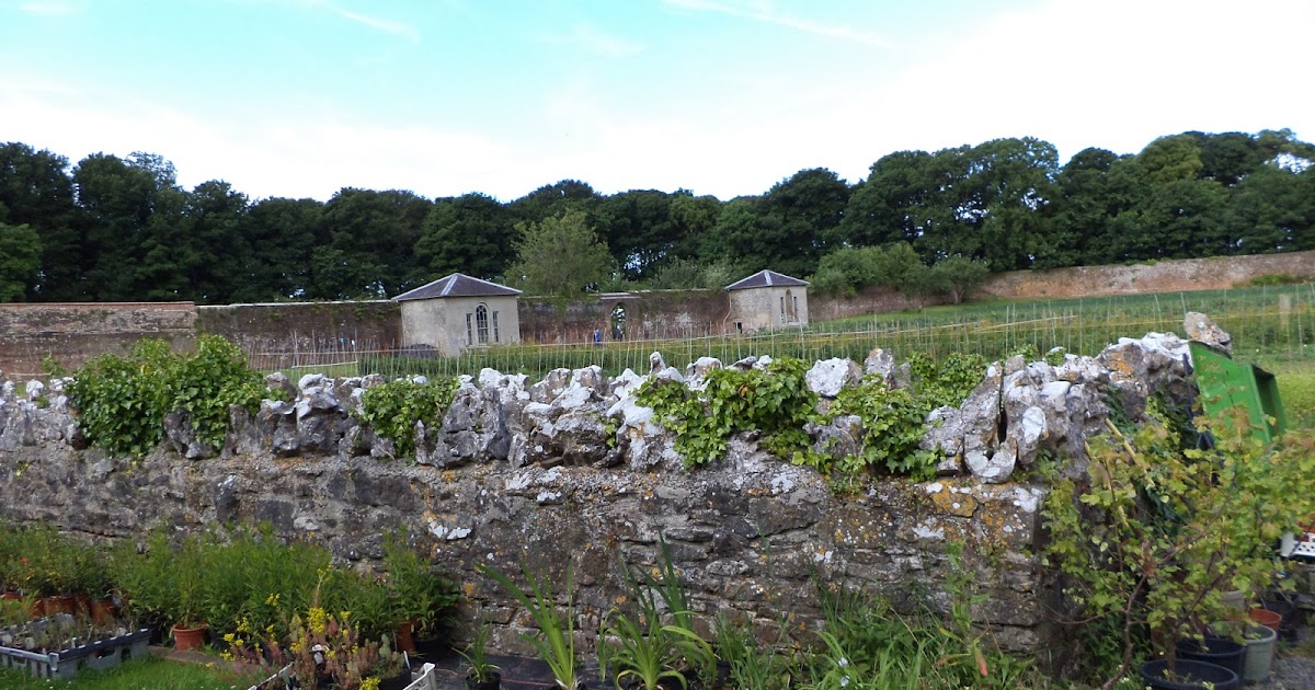 Campaign For The Protection of Pembrokeshire: Stackpole Court Mencap Garden