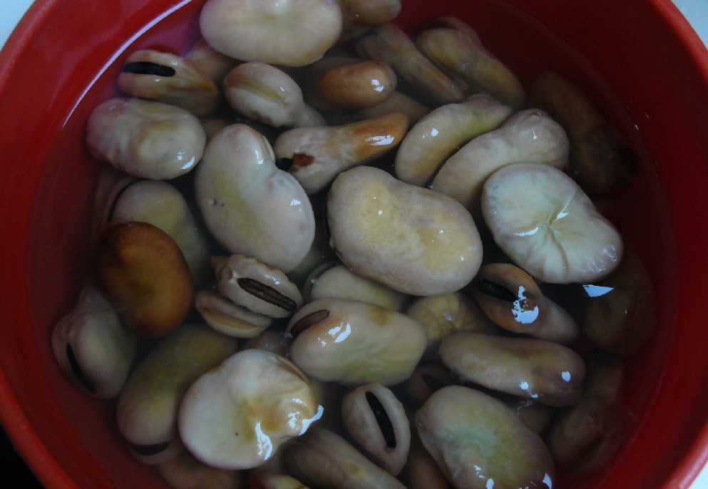 Receitas de Portugal: Aprenda a fazer Favas fritas, um aperitivo delicioso!