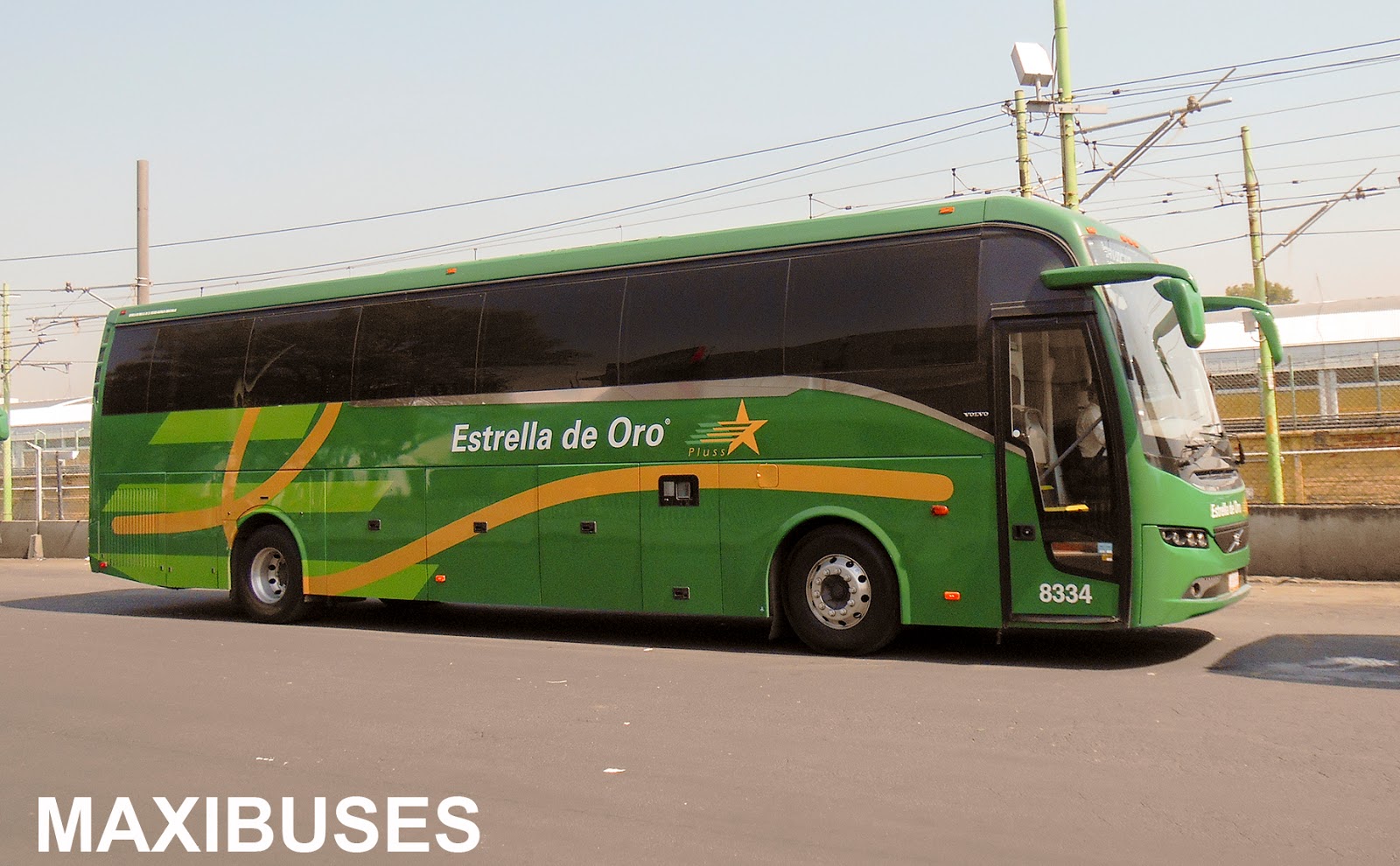 MAXIBUSES: ESTRELLA DE ORO PLUSS