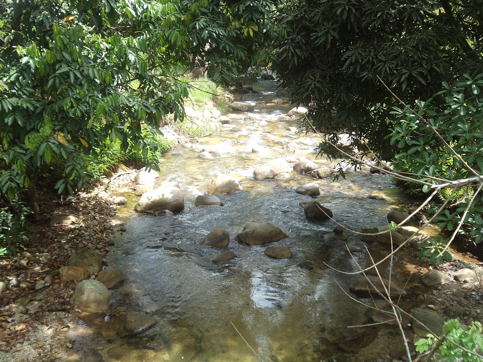 La Biodiversidad de Durania: LAS QUEBRADAS