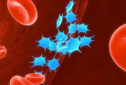 TPE: "LE SANG": Composition et propriétés du sang