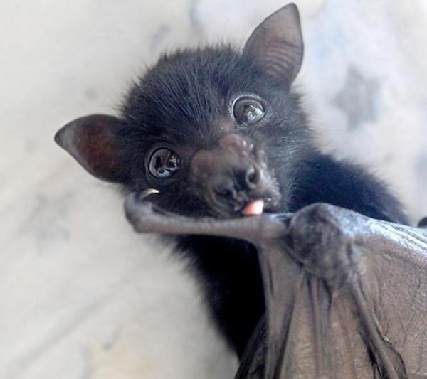 Otwarta księga: sierpnia 2015