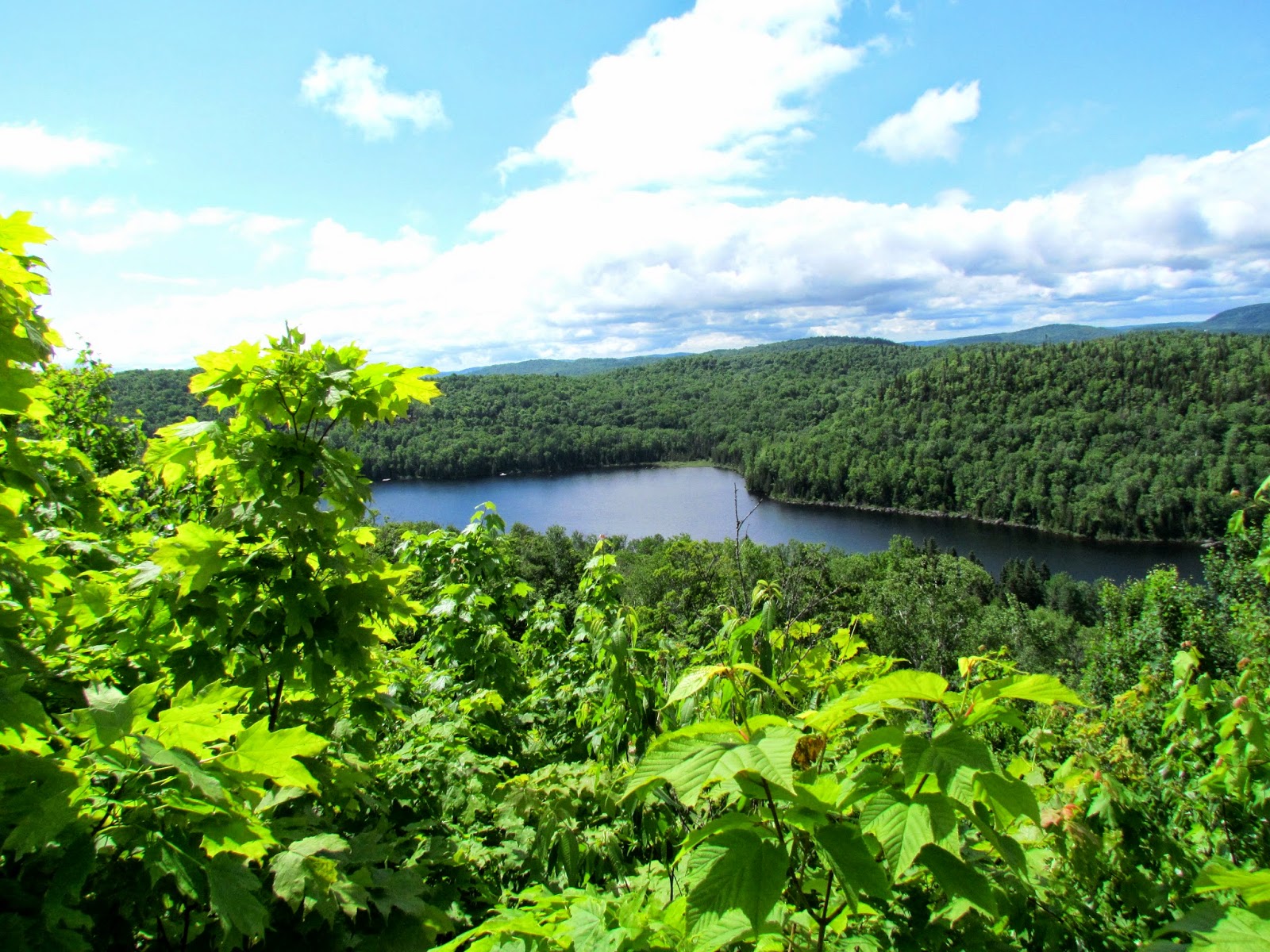 Terrain Val-David: Terrain Val-David