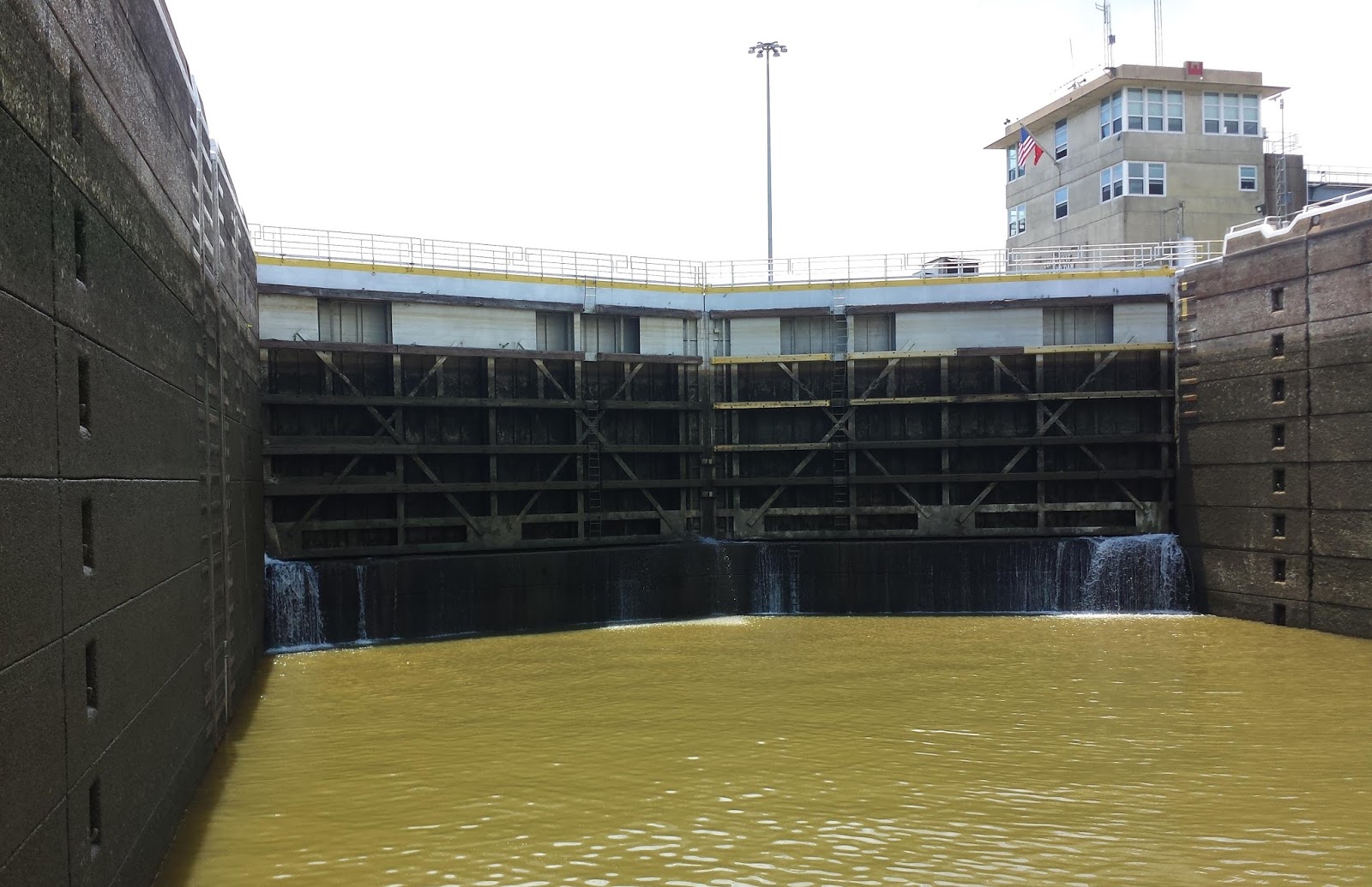 Our Odyssey: Demopolitan Mayfly Mayhem