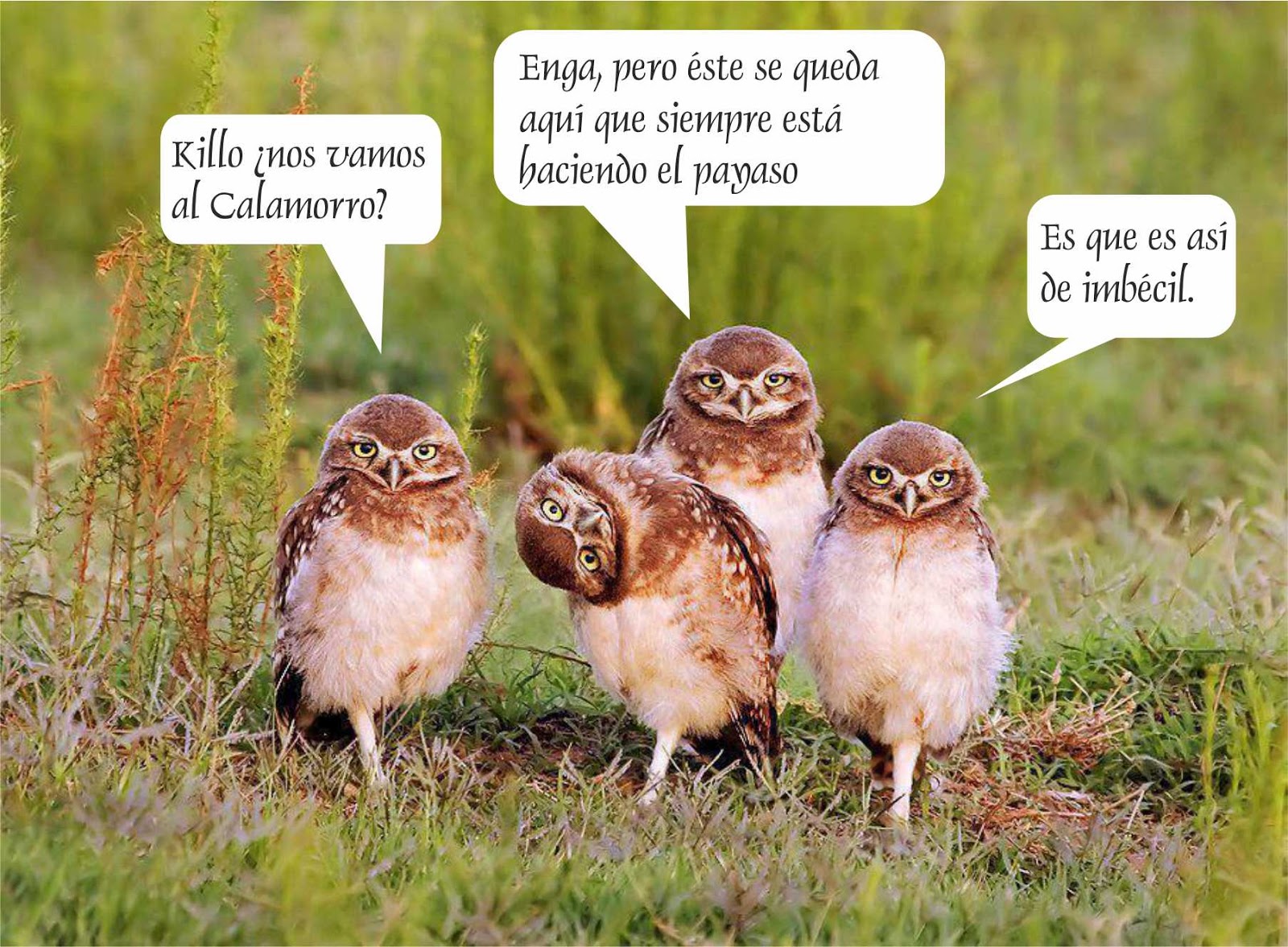 Atletismoperote: CALAMORRO 2013: YA ESTÁ AQUÍ DE NUEVO