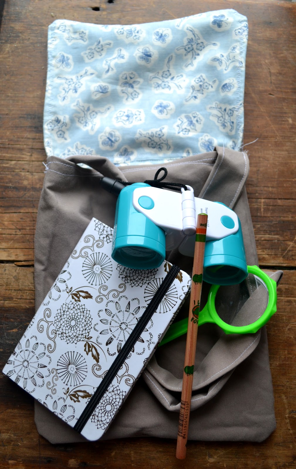 Kirsten's Kitchen: of vegan creations: DIY { children's field study bag }