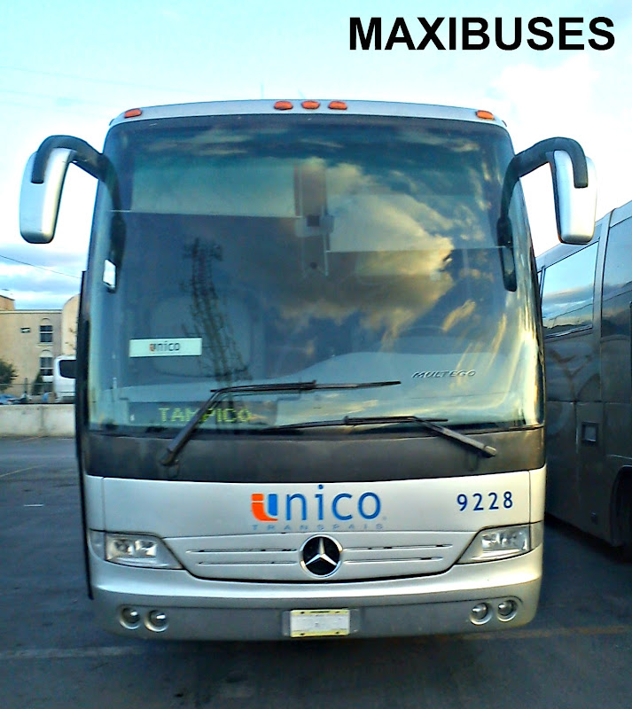 MAXIBUSES: ESPECIAL - TRANSPAÍS - UNICO
