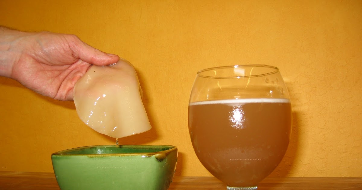 Zanimljivo i korisno: PROCITAJTE KOJE SVE BOLESTI LIJEČI Kombuha gljiva ...