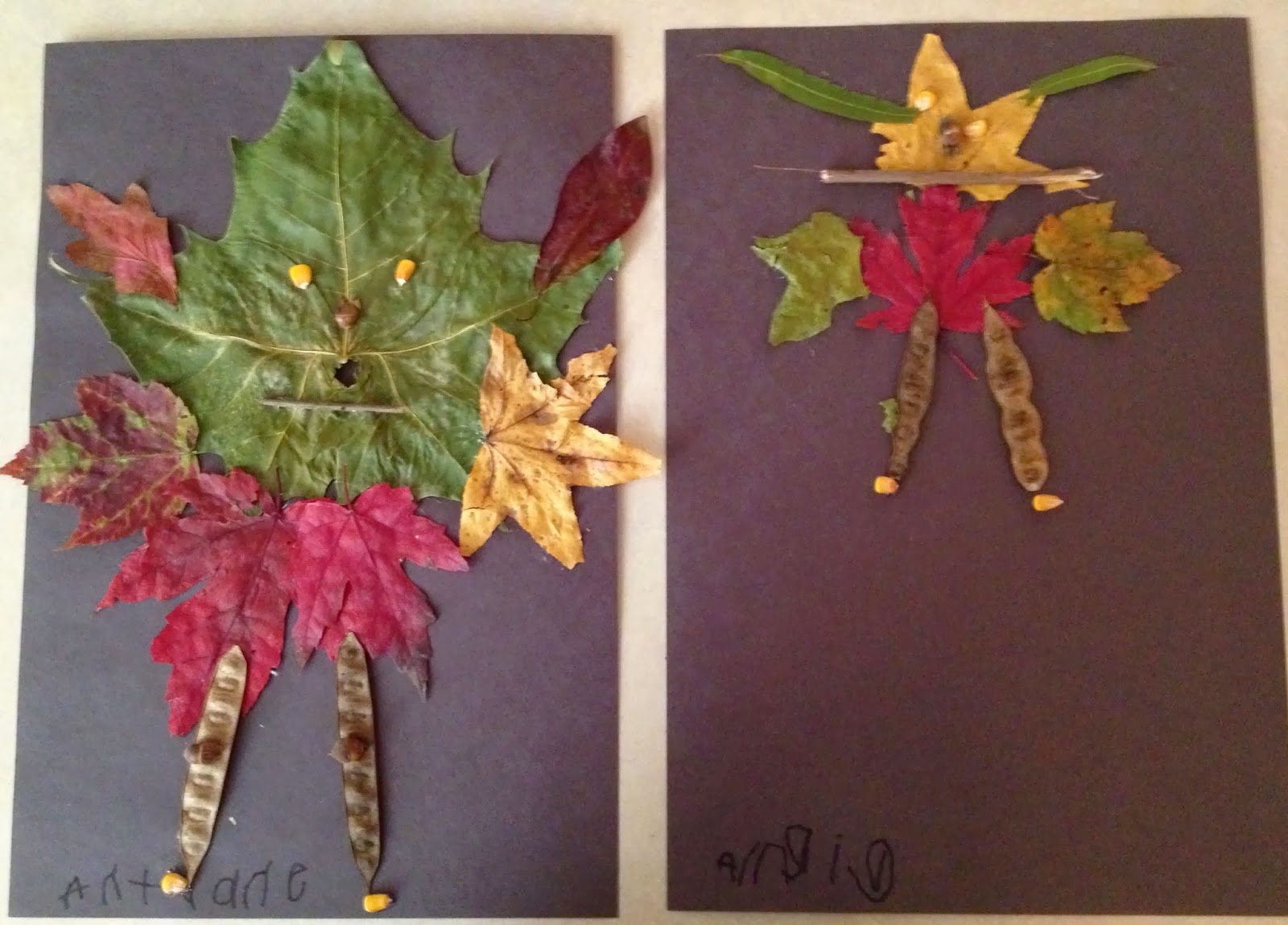 The Simplicity of Learning: Leaf Man
