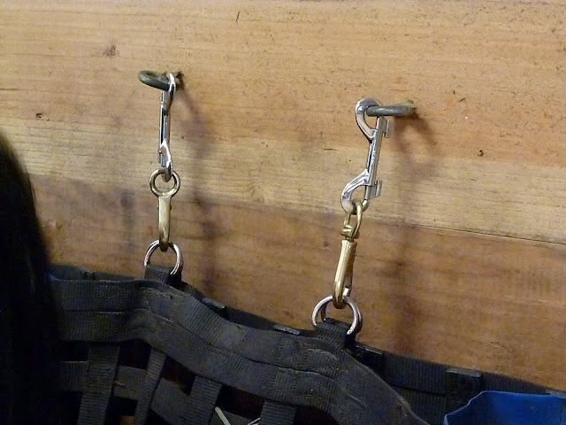 Notes From Home: Nibble Nets