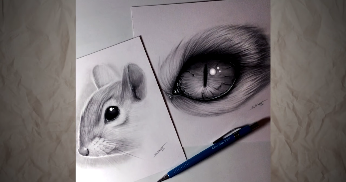 How to Draw Fur by LethalChris Drawing