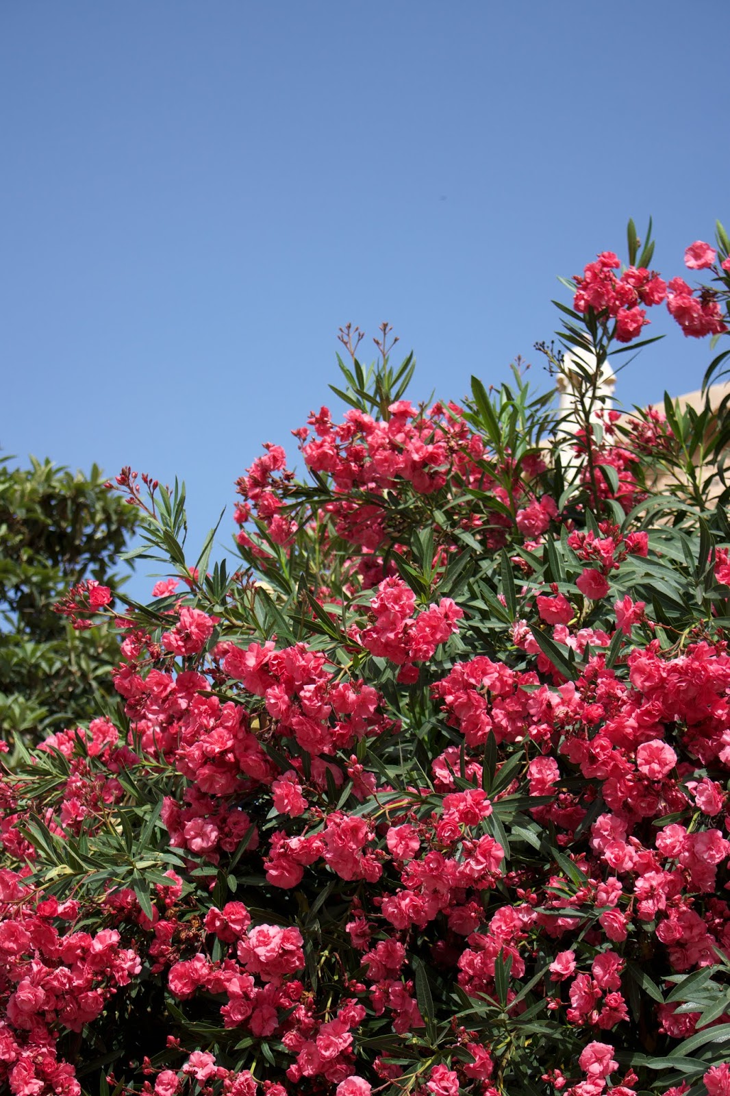 Making Memories in Mallorca | Georgia Furness