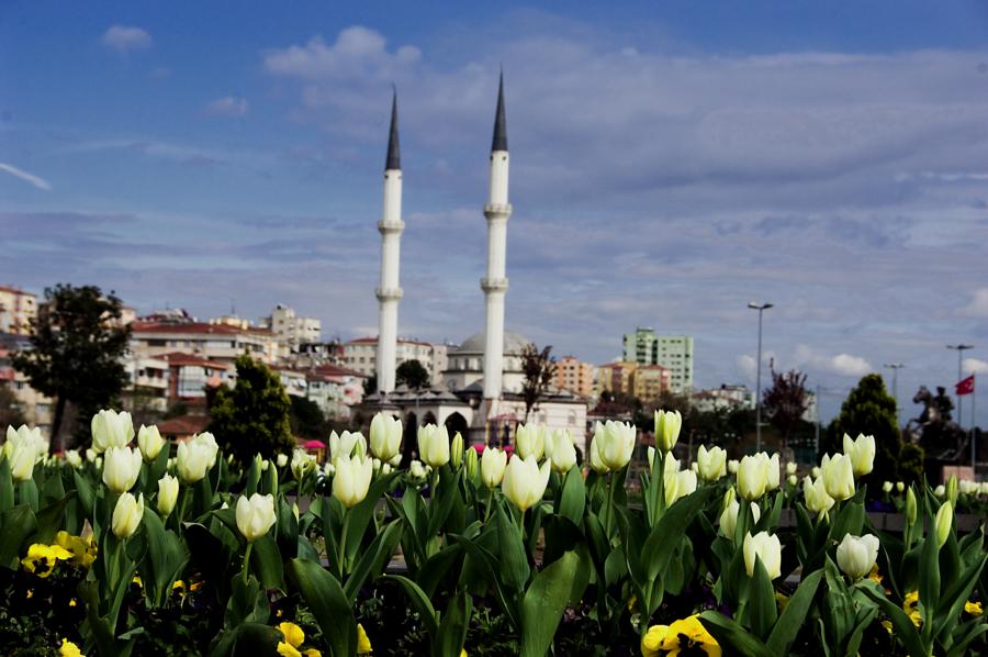 Şamil Türkiye Ansiklopedisi..........: Pentikion, Pantikapeum, Pendik ...