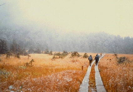 Four Seasons in Japan: Oze Marsh