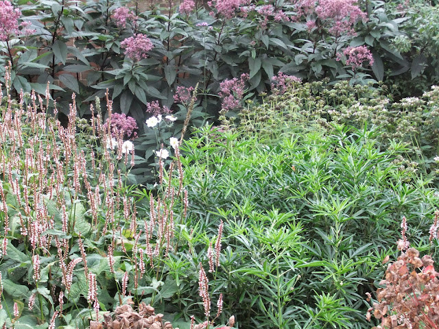 Pippa Purnell Garden Design: Planting: Refresh Your Borders