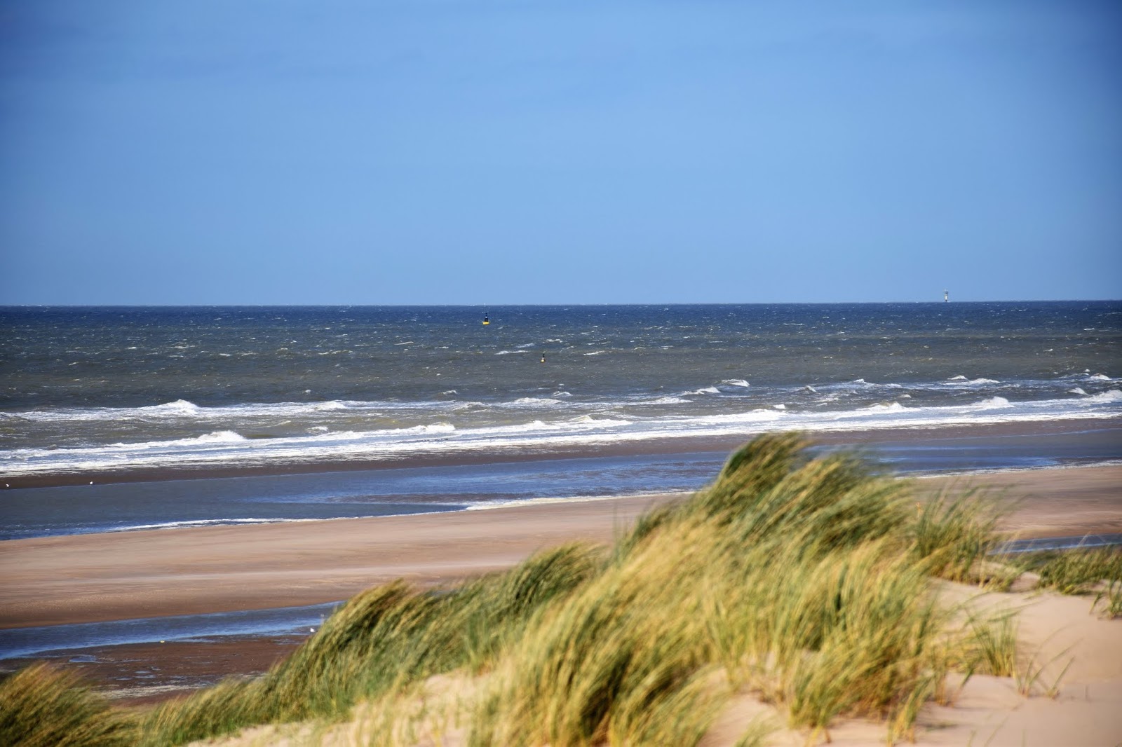 A Day at De Haan Beach and Woodlands - Backpack & Explore