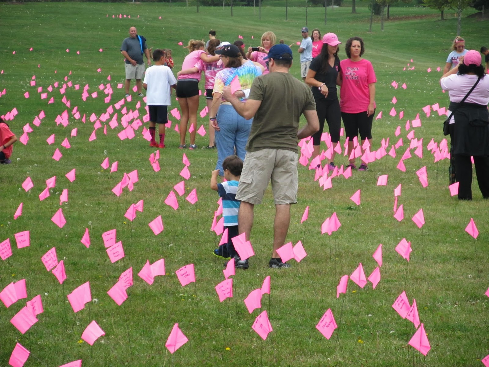 Lehigh Valley Ramblings: A Field Of Pink