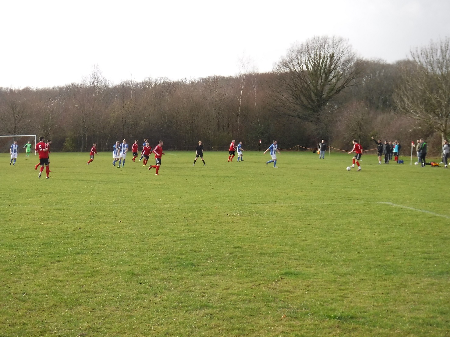 Colden Common v Overton United