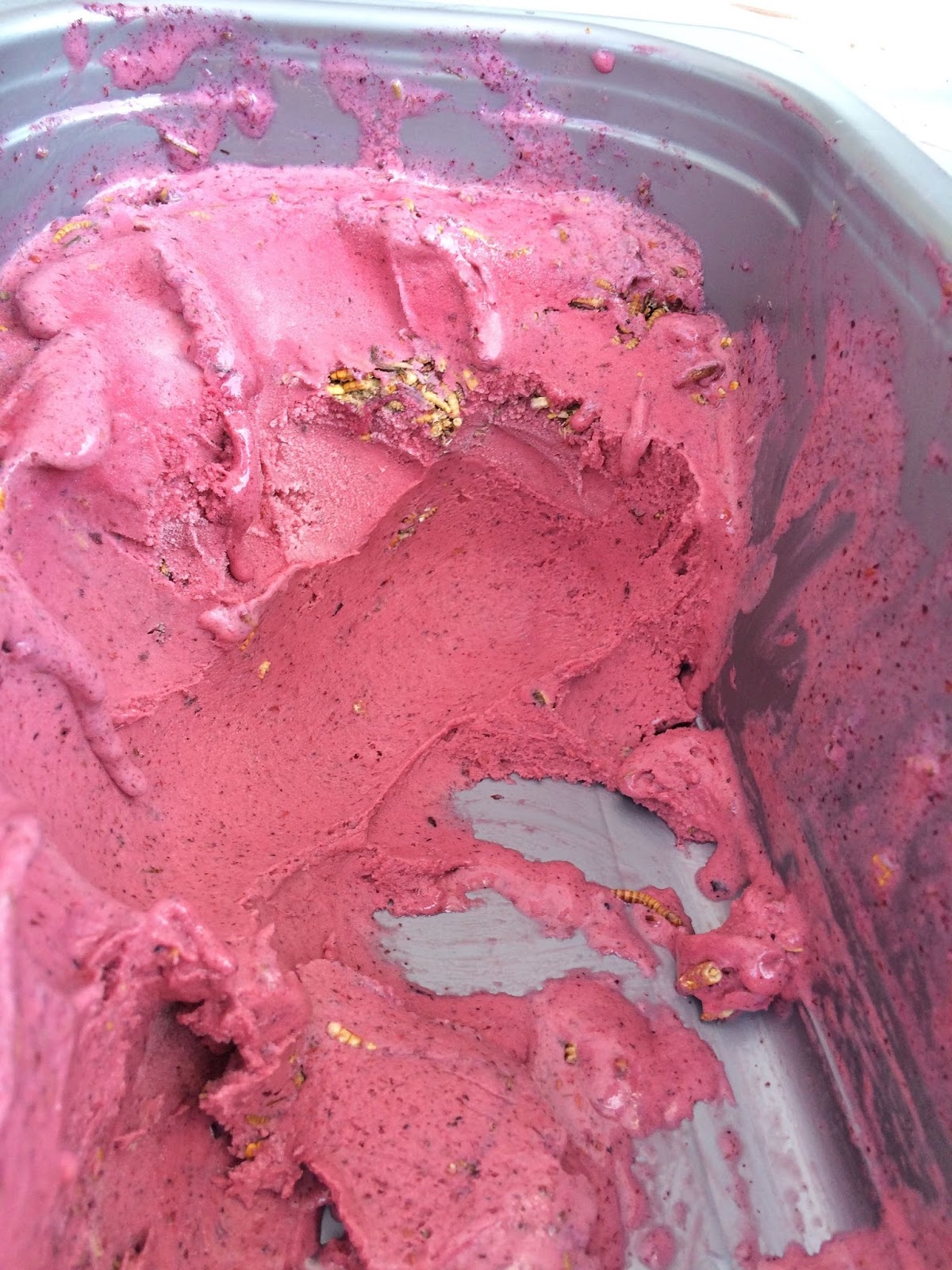 The Adventures of Finn: BUG ICE CREAM!