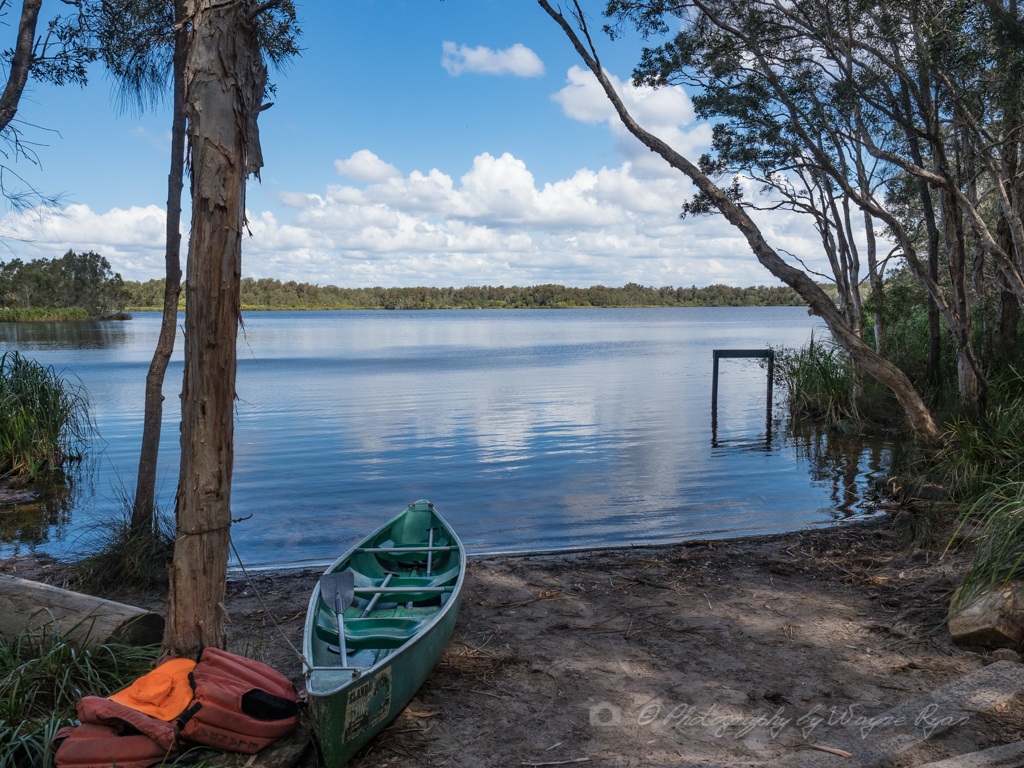 Wayne Ryan's blog: Lake Cootharaba and Upper Noosa River Everglades