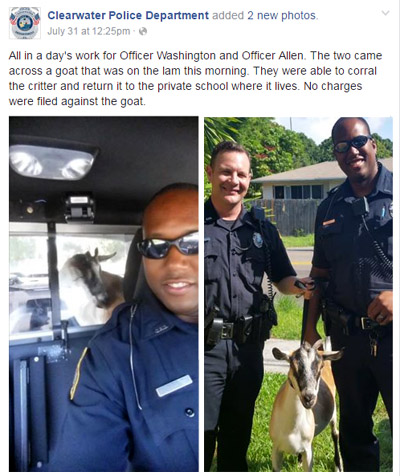 Four legged friends (and enemies): Florida: Police Officers Find ...