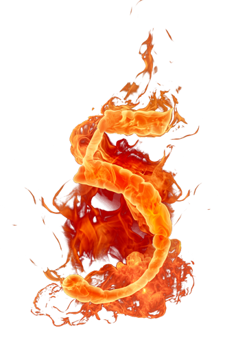 ForgetMeNot: Fire Numbers