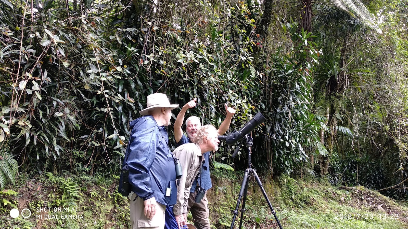 Birding in Bali Barat National Park - Trip Report-Review-Testimony