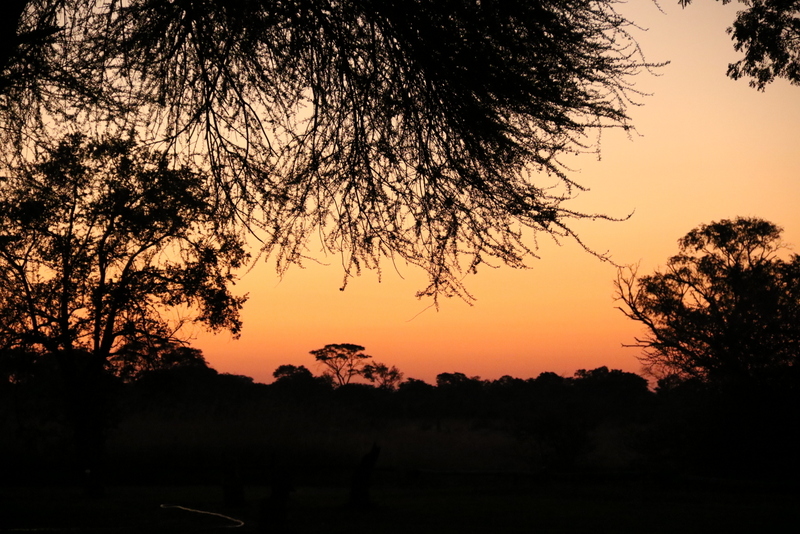 An African Odyssey: A visit to Binga District