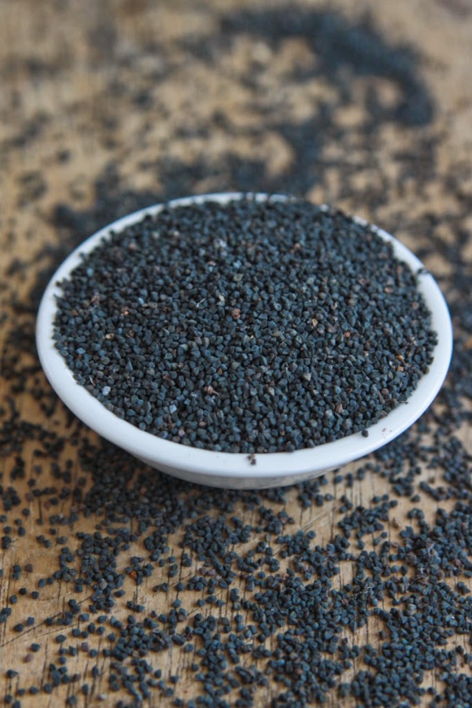 LESSAN Yogyakarta: Simplisia dan Bahan Jamu yang tersedia