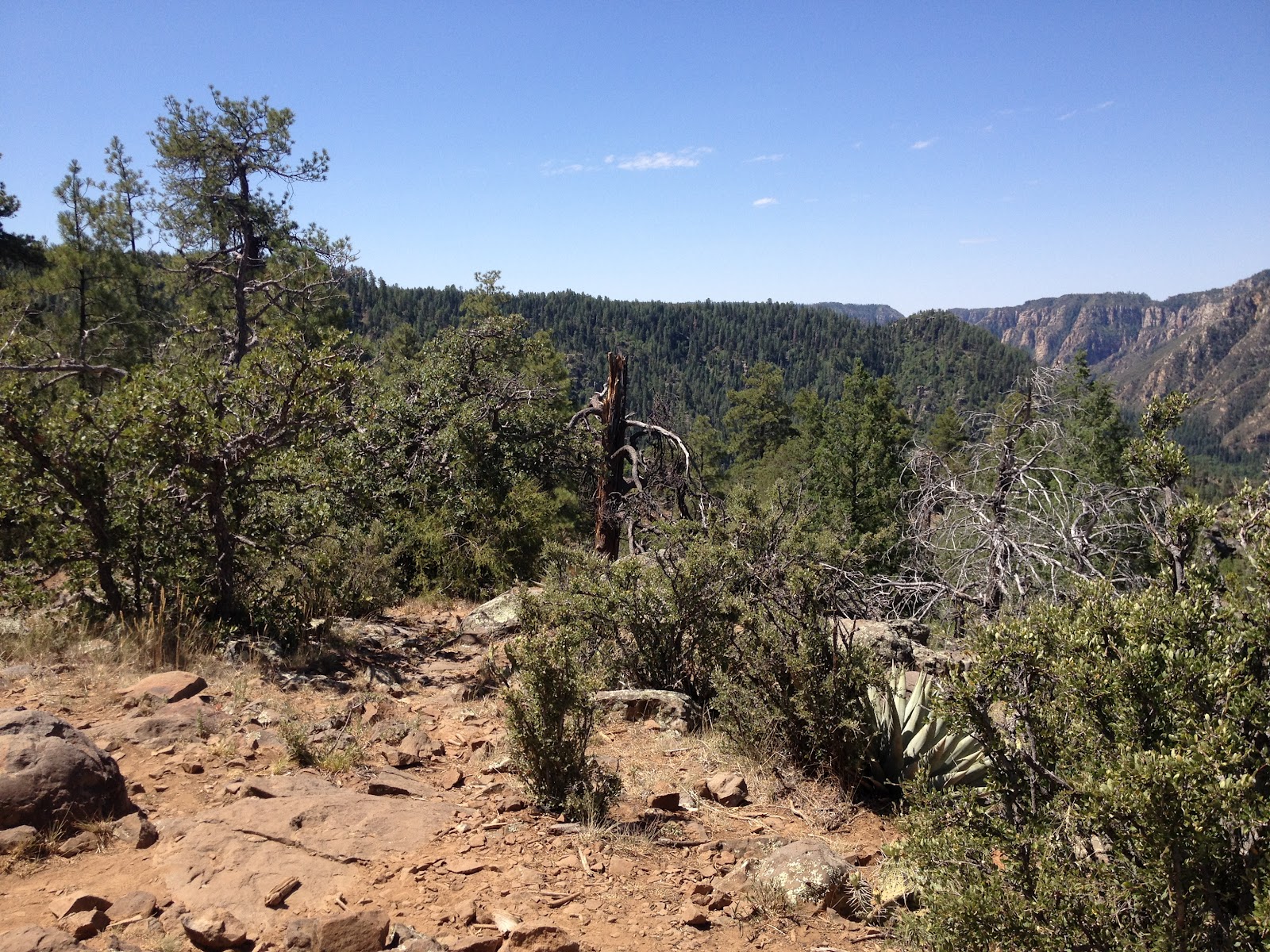 50 Hikes for My 50th!: Hike #39 - Harding Springs Trail - Sedona, AZ