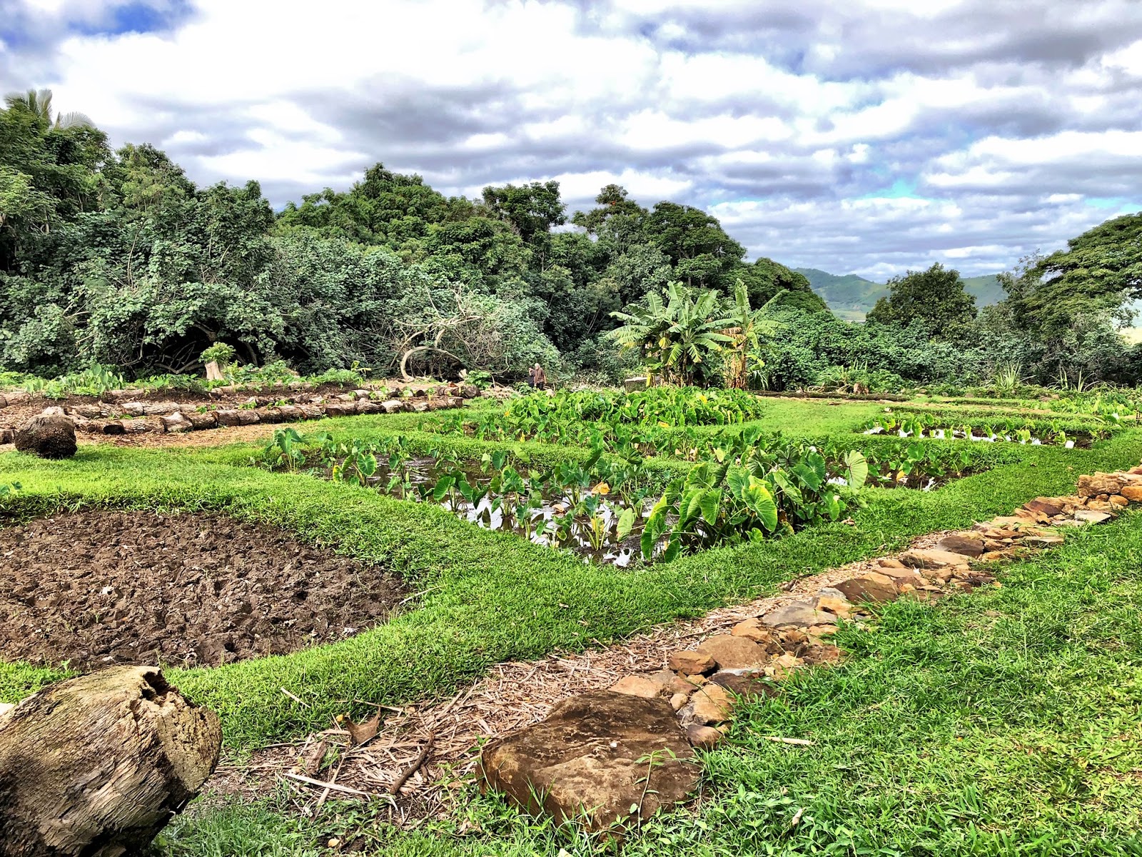 Hawaii Mom Blog: Ulupo Heiau