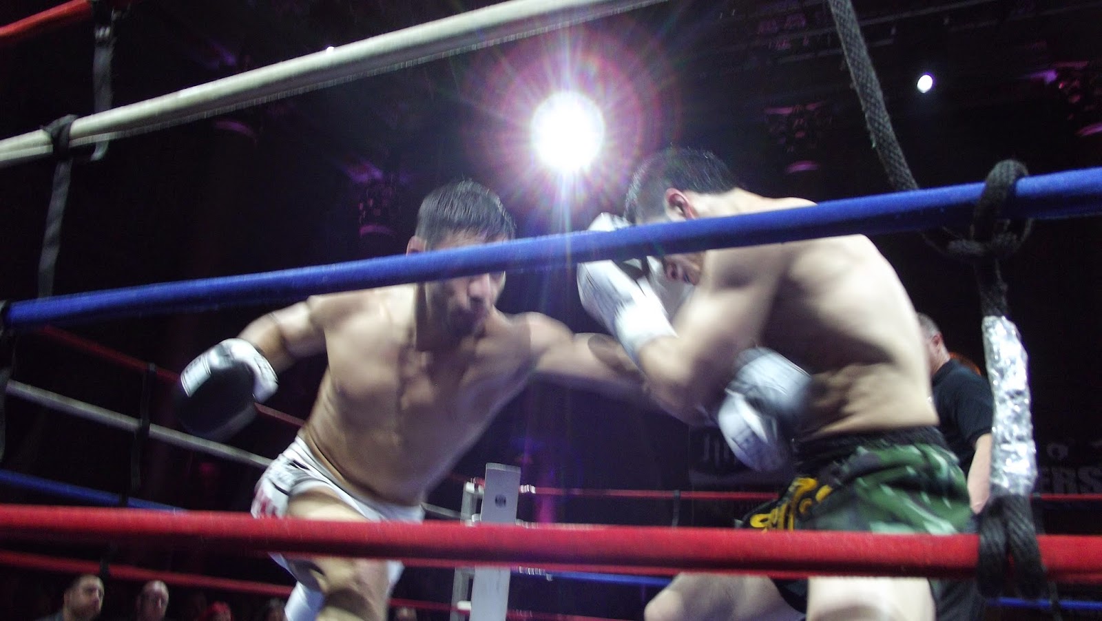 The MMA Journalist: Combat at the Capitale - 4.4.14