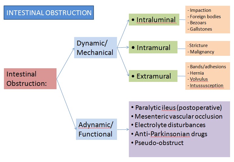 Oktahermoniza Blog's: Obstruksi intestinal