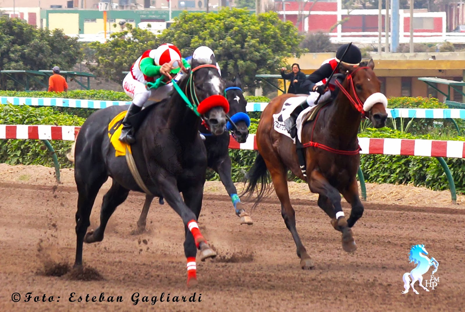 El Mirador Hípico Peruano: ASMARANI BARRIO CON SUS RIVALES:
