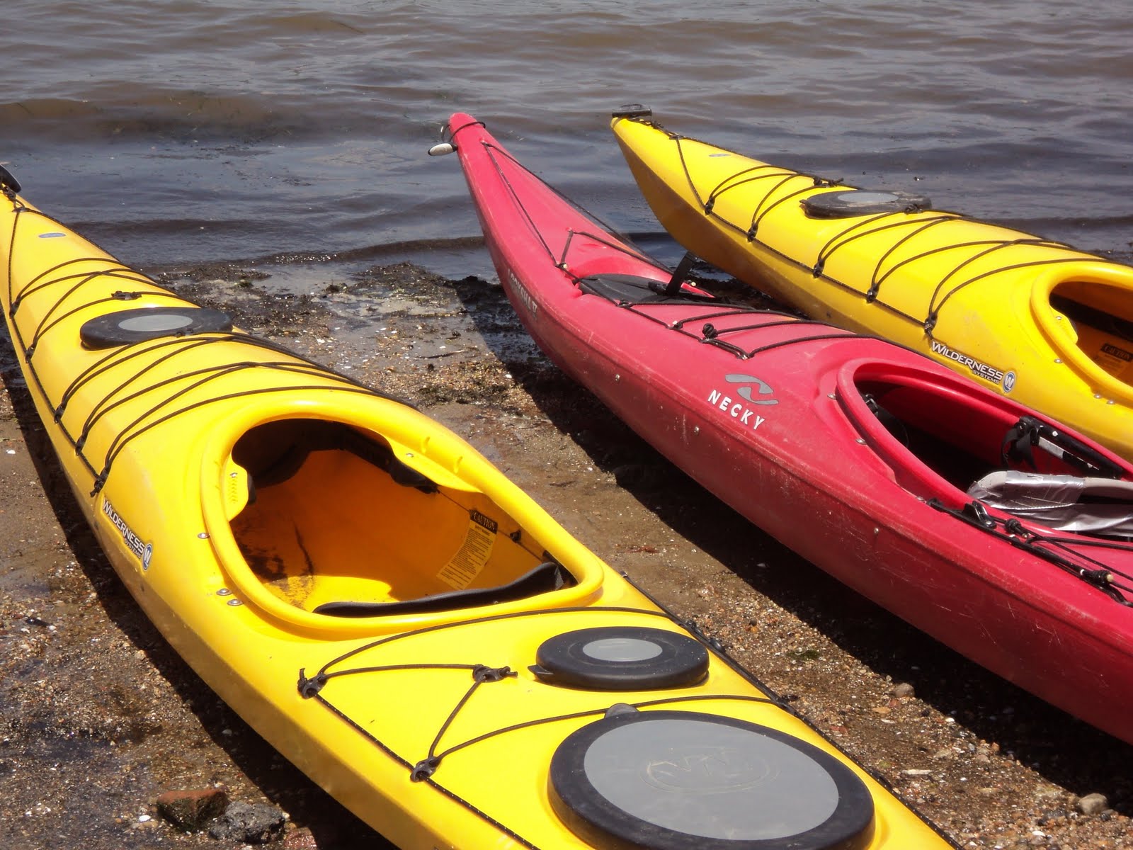Taking Lead Now: Weekend Kayaking on Croton and Hudson Rivers with Sundance