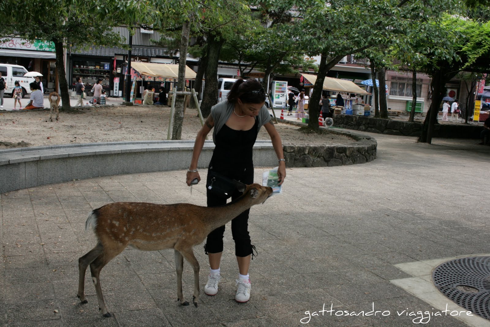 gattosandro viaggiatore - travel blog: Giappone 2010 - Hiroshima e Miyajima