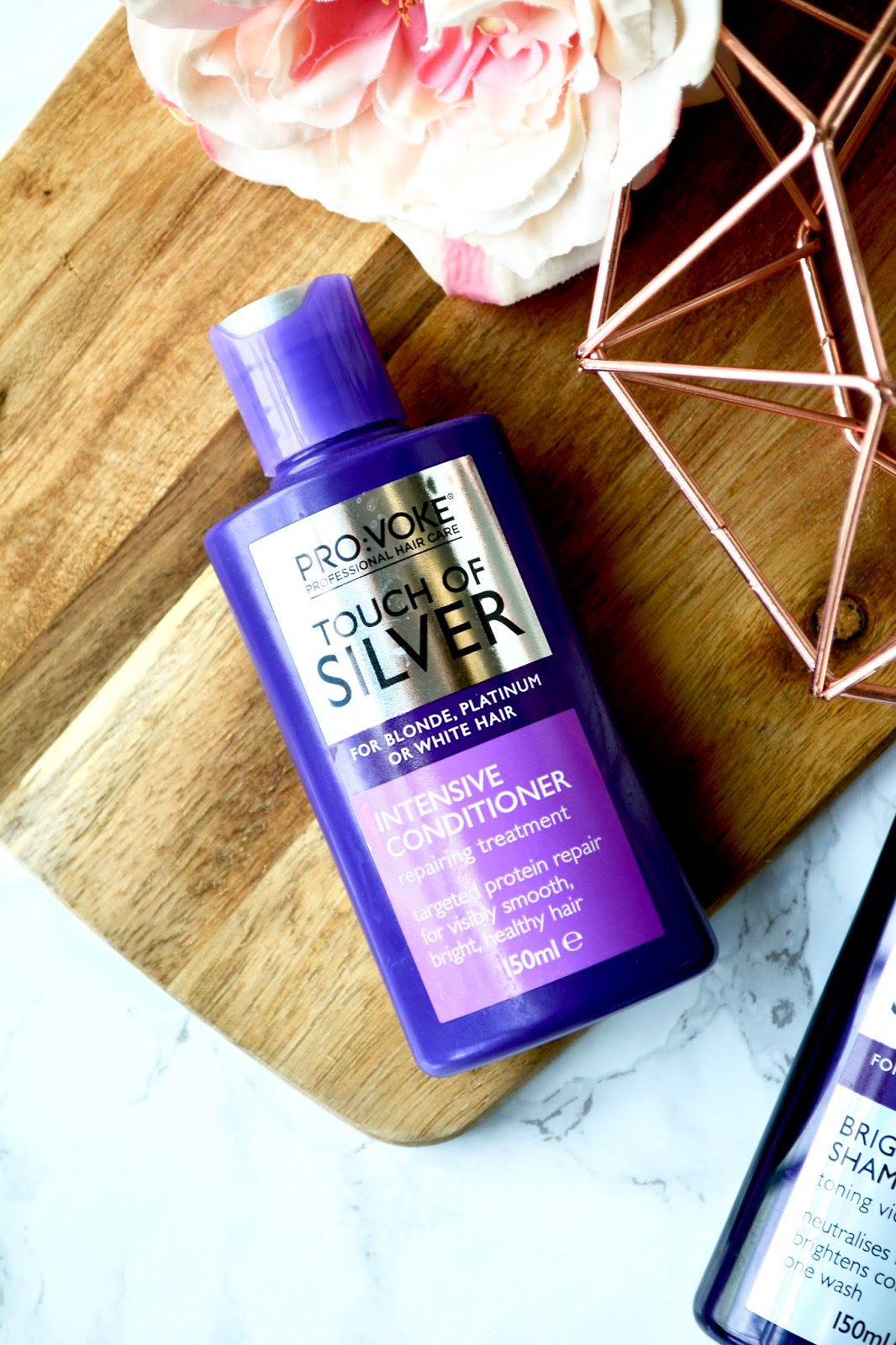 PROVOKE Touch Of Silver Shampoo & Conditioner | Keeping My Blonde Hair ...