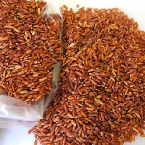 Beras Organik Beras organik, beras organik murah, beras merah, beras hitam